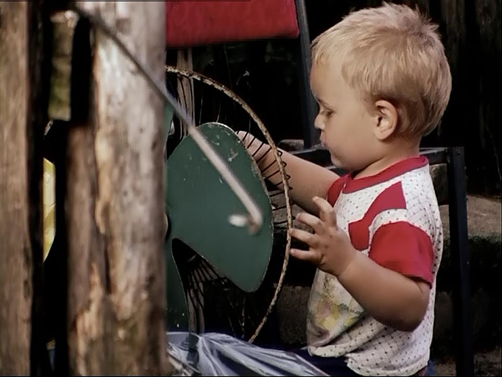 Za plotem - dafilms.cz | filmy online