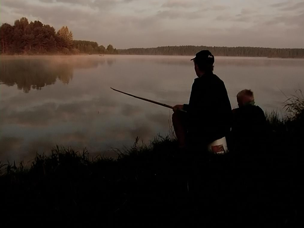 Za plotem - dafilms.cz | filmy online