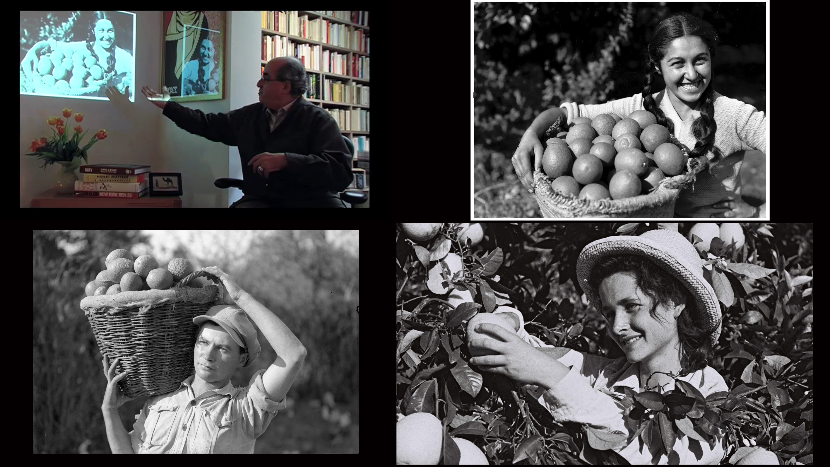 JAFFA, the orange's clockwork 2009 - dafilms.cz | filmy online