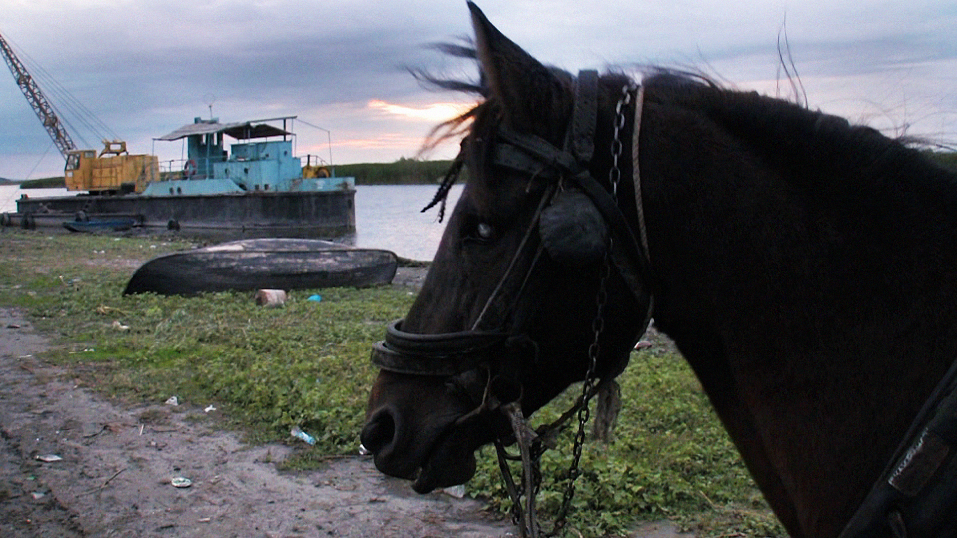 Postcard from Somova, Romania - dafilms.cz | filmy online
