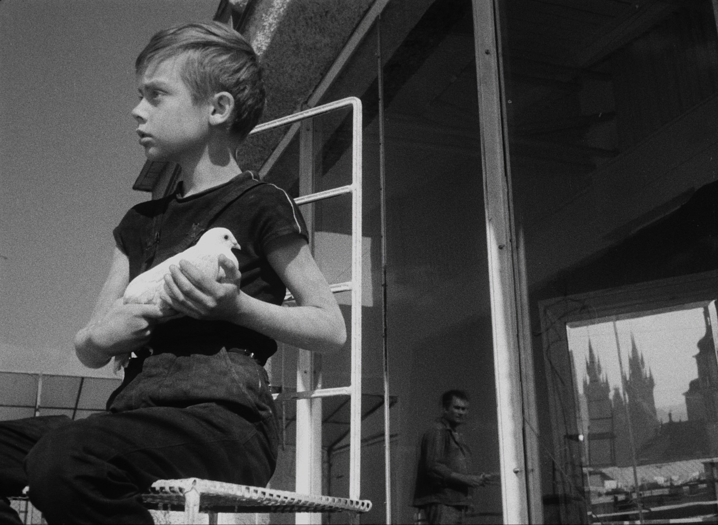 Holubice - dafilms.cz | filmy online