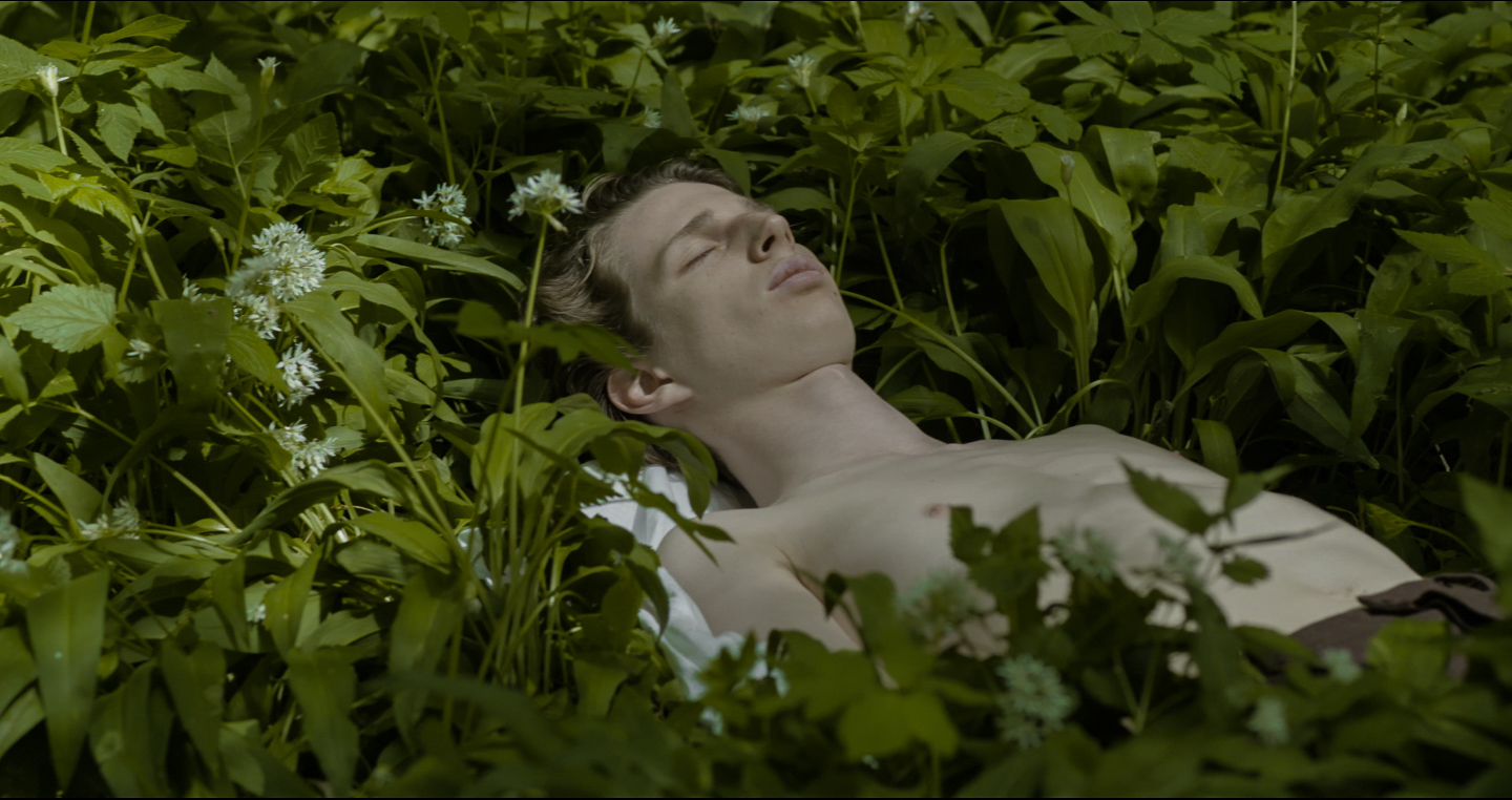 Francek - dafilms.cz | filmy online