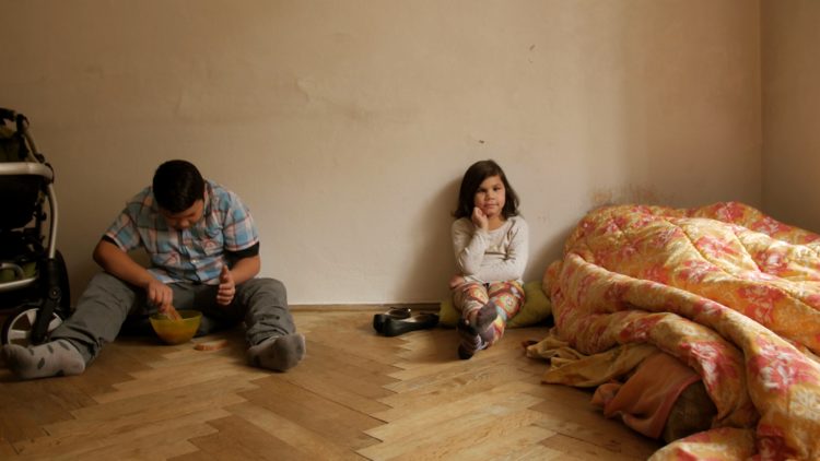 Bydlet proti všem - dafilms.cz | filmy online