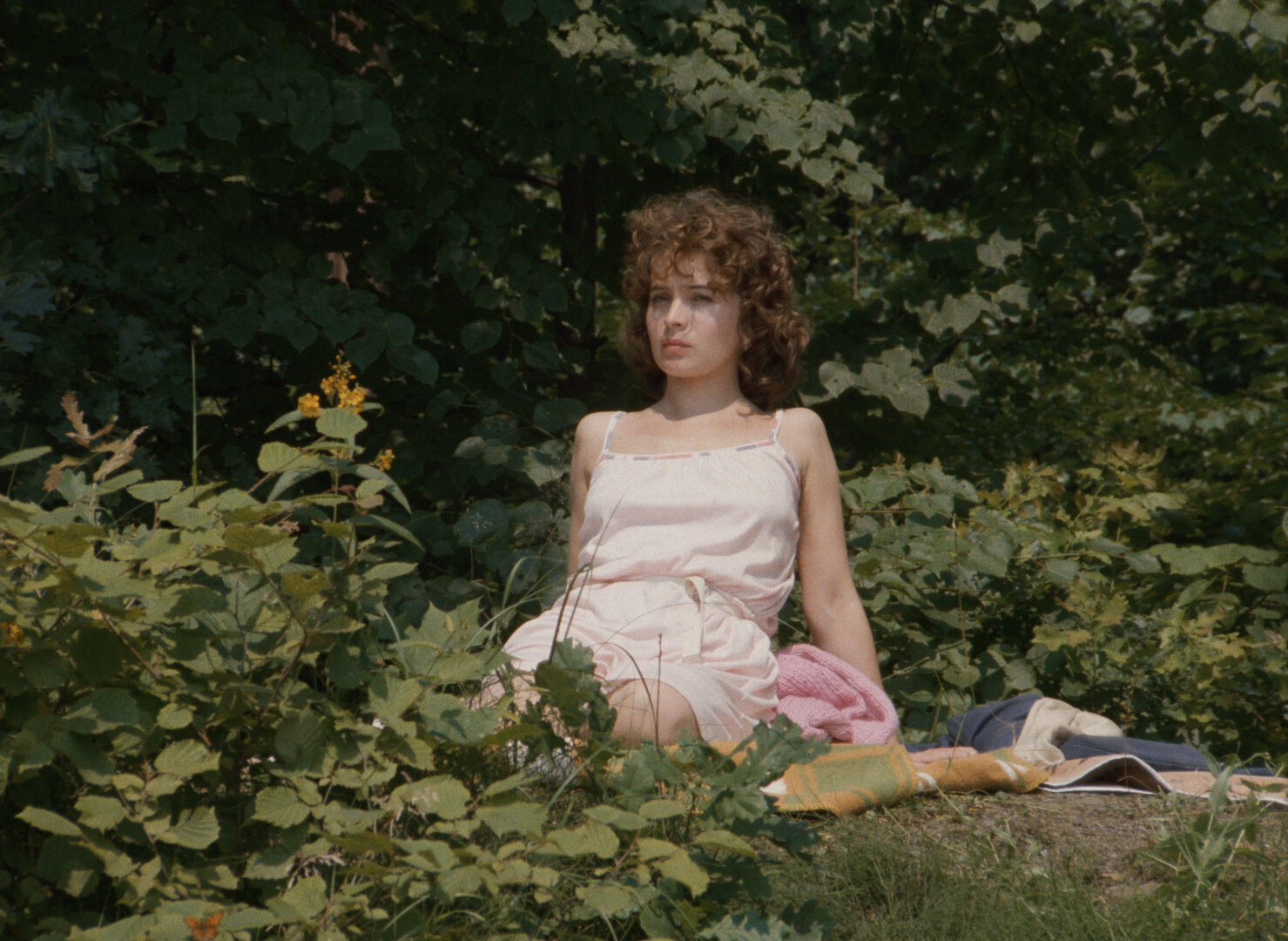 Vesničko má středisková - dafilms.cz | filmy online