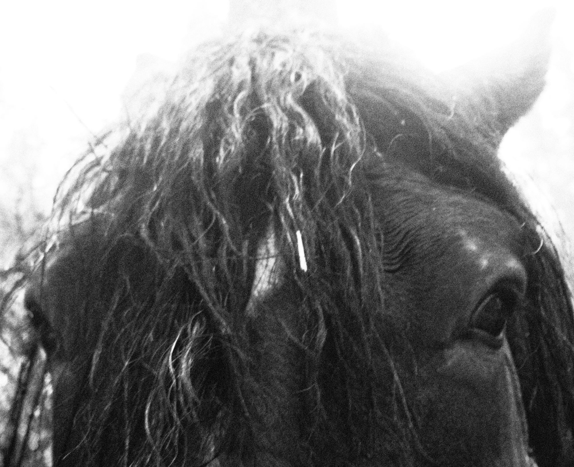 Zima a Tma - dafilms.cz | filmy online