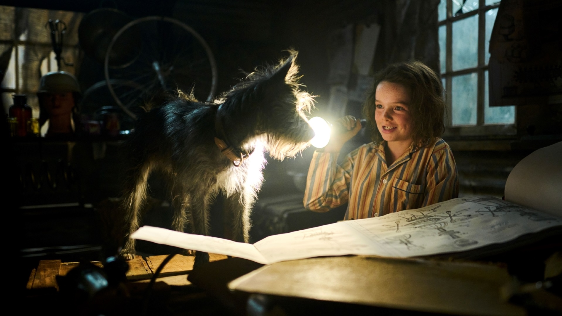 Malý velký pes - dafilms.cz | filmy online